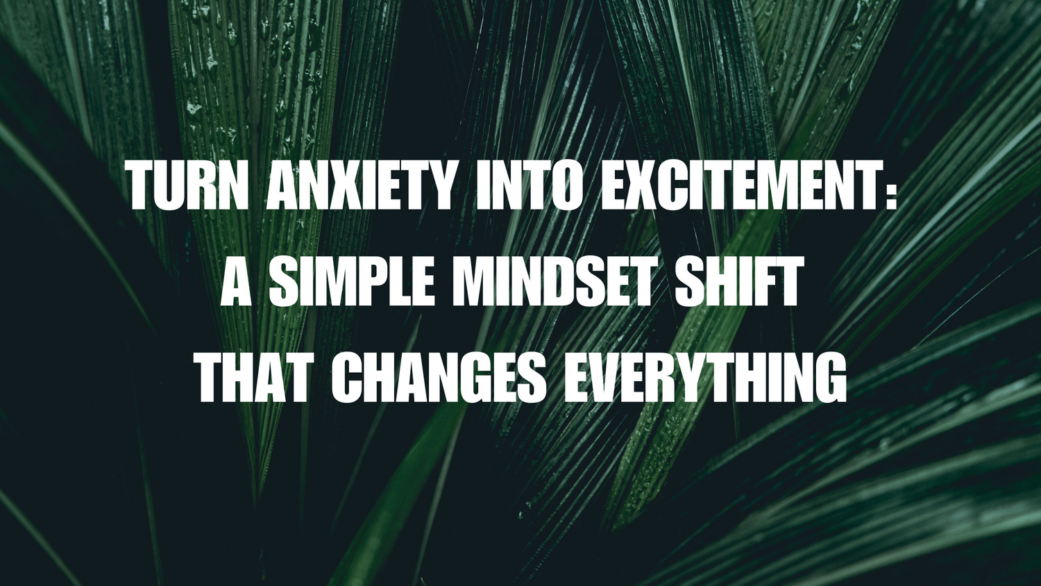 Turn Anxiety into Excitement: A Simple Mindset Shift That Changes Ever – Babooshy Tea - Premium ...